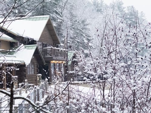 Springfield Parks Department Announces 2026 “Fabulous February!” Events ...