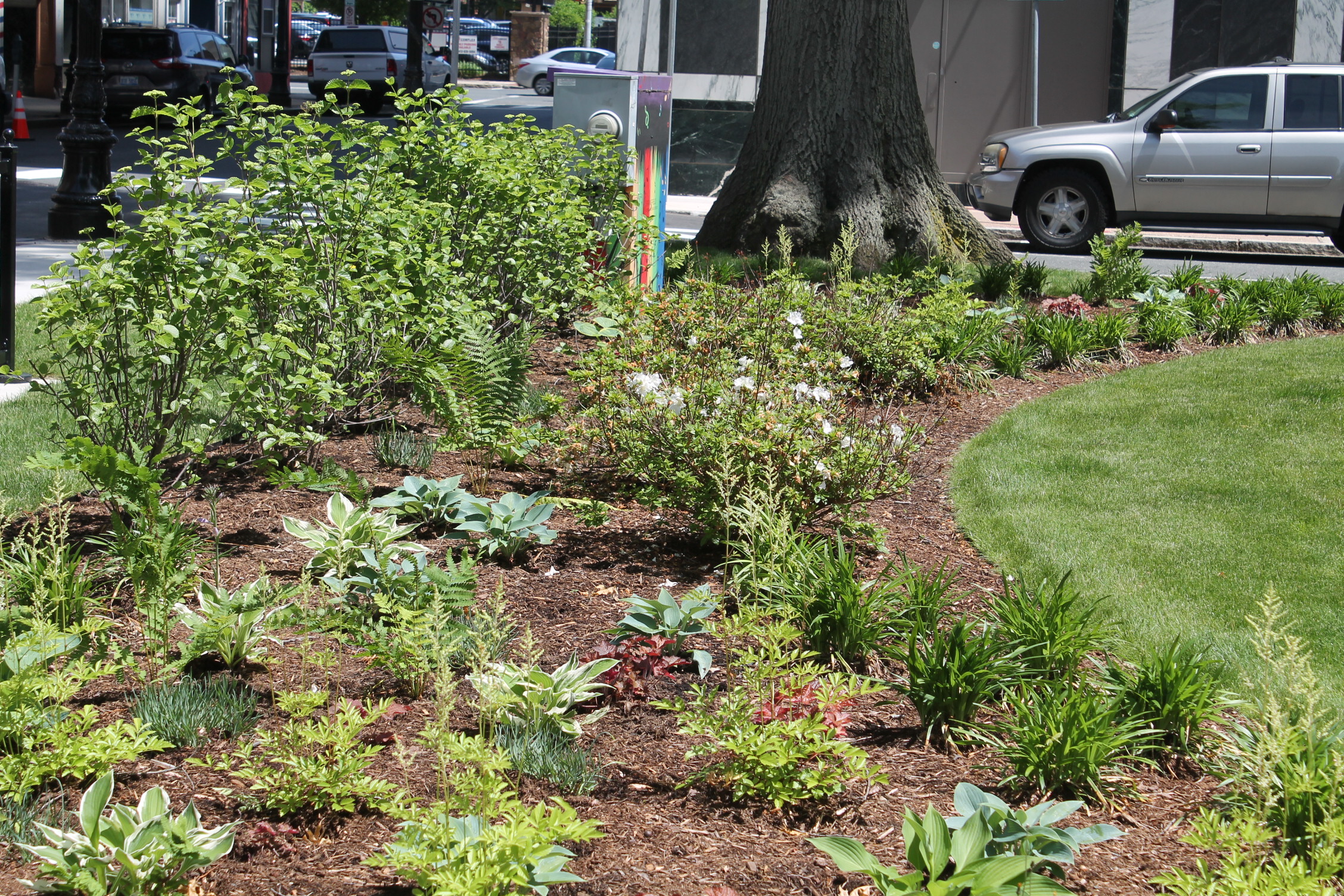 Mayor Sarno, Parks Department Announce Renovated Riverfront Park ...